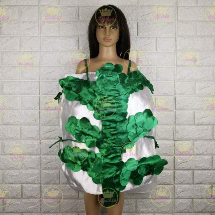 Nutrition Month Costume for Kids Go Glow Grow Food | Lazada PH