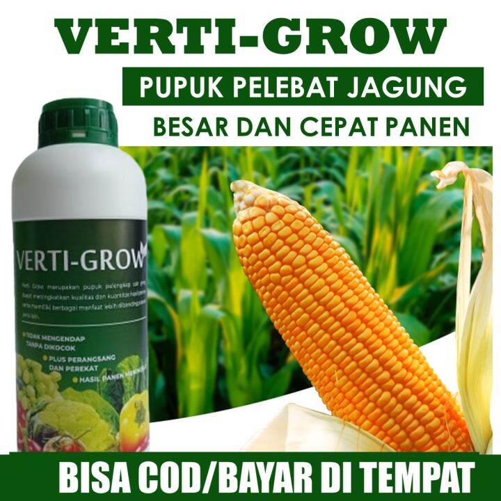 500 ML PUPUK NPK Cair Pelebat dan Pembesar Jagung Verti-GROW - Obat Pembesar Jagung Lebat Tahan ...