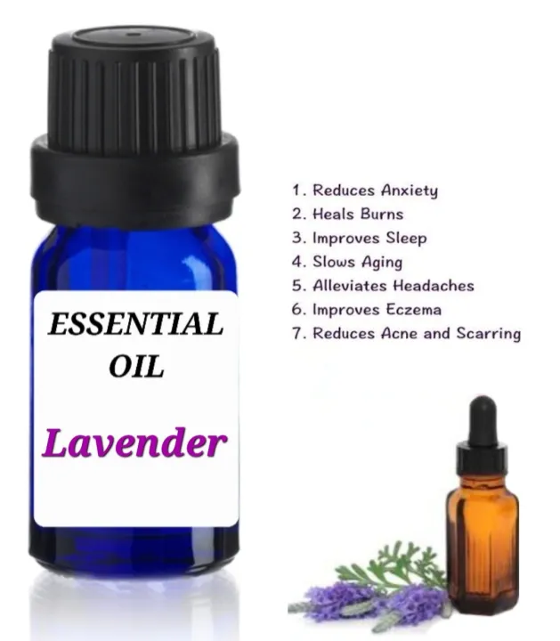 Organic Pure Lavender Essential Oil 5ml | Lazada PH