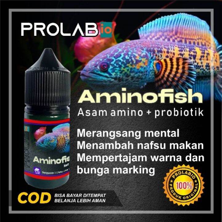 amino fish asam amino ikan / obat ikan / prolabio chana vitamin ...