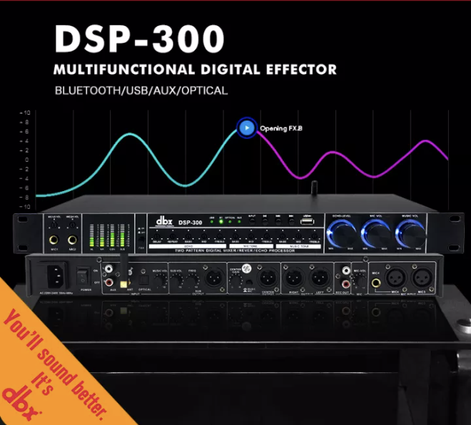 DBX DSP300 front-end digital effect Built-in FBX Echo effect Built-in ...