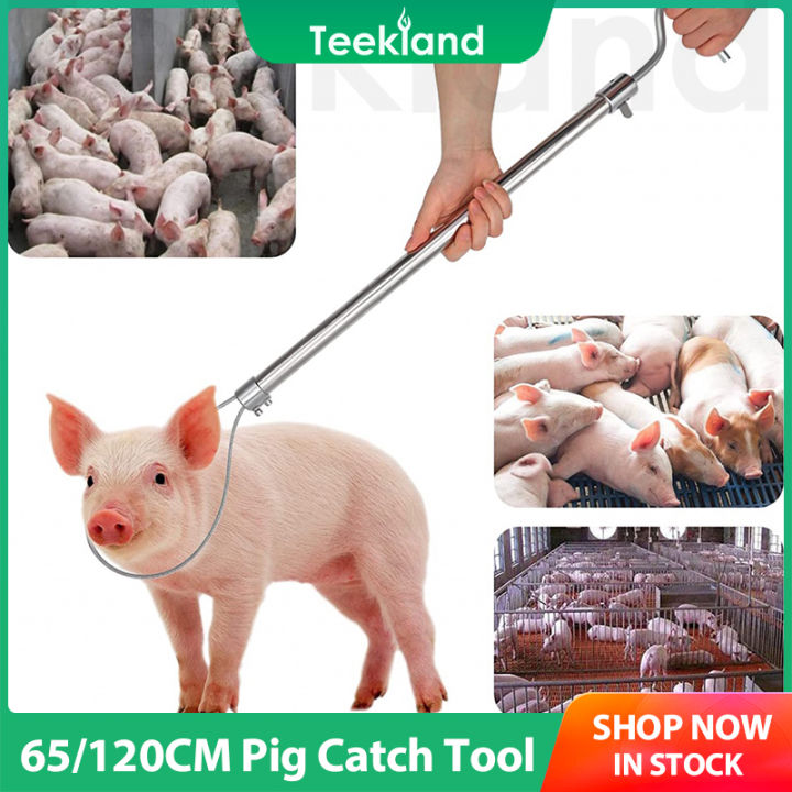 Teekland Stainless Steel Hog Rod Type Holder Pig Catcher Tool Swine Pig ...