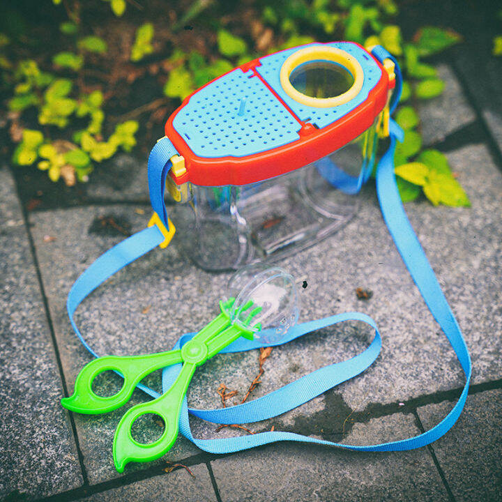 Insect observation bottle | Birthday gift for children, children, girls ...