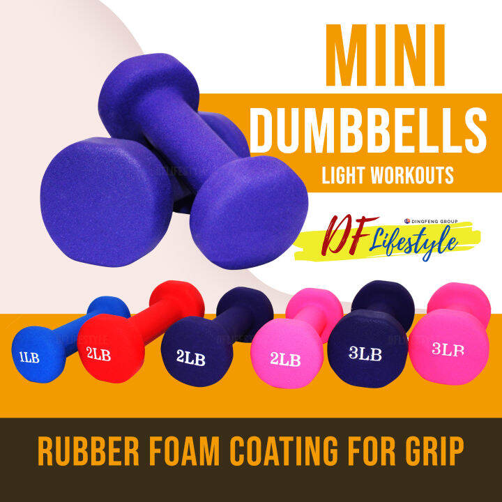 Mini Dumbbell Weight Training Exercise (sold by pair) | Lazada PH