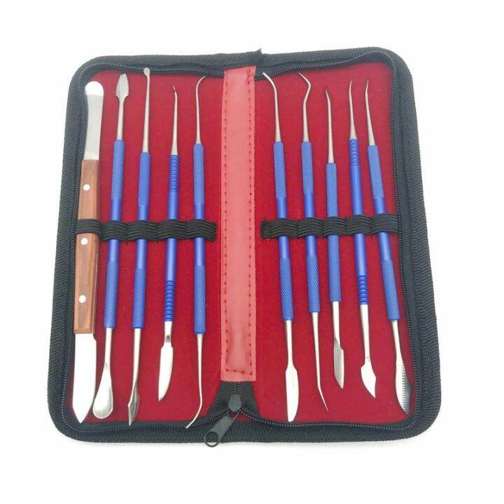 10Pcs Dental Stainless Steel Wax Carving Tool Set Dentist Sculpture ...