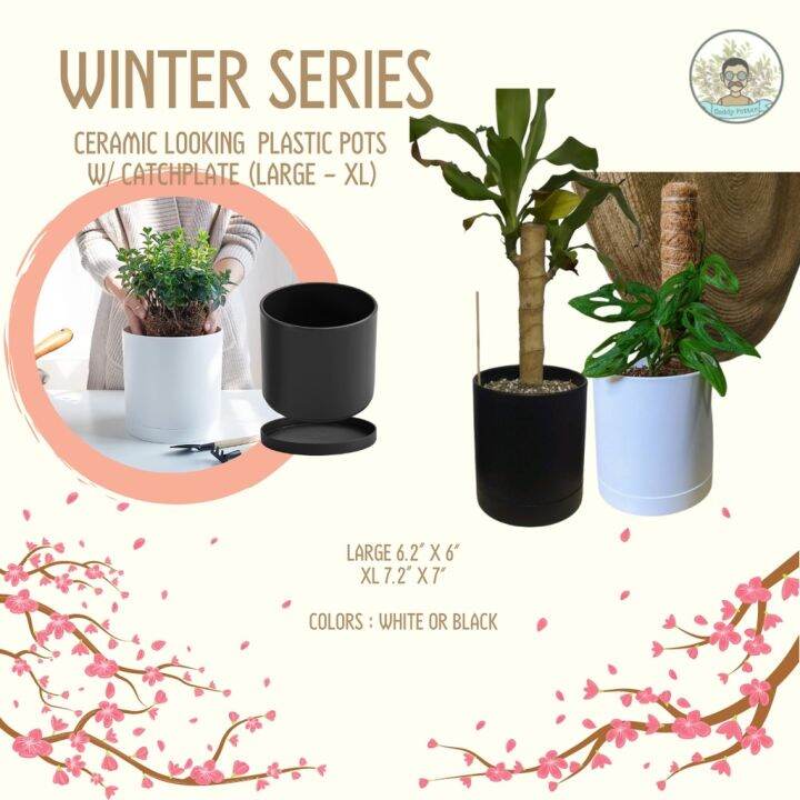 Homebass Cylindrical ceramic looking White plastic pot with catch plate ...