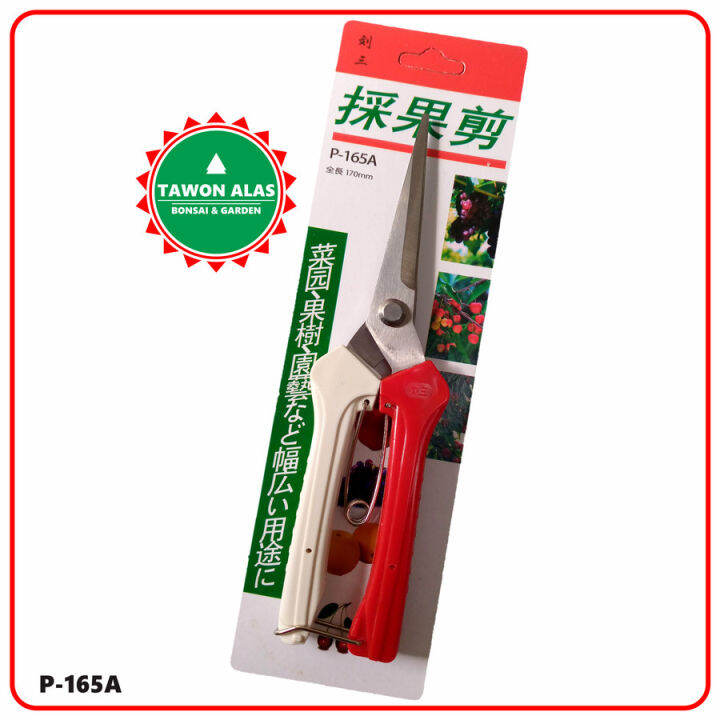 Gunting Bonsai Bunga Daun Ranting Pruning Tanaman Taman Merah Putih ...