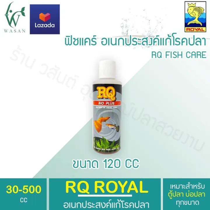 RQ BIO PLUS อาร์คิว ไบโอพลัส (ขนาด 120cc) แบคทีเรียย่อยสลายของเสีย เศษ ...