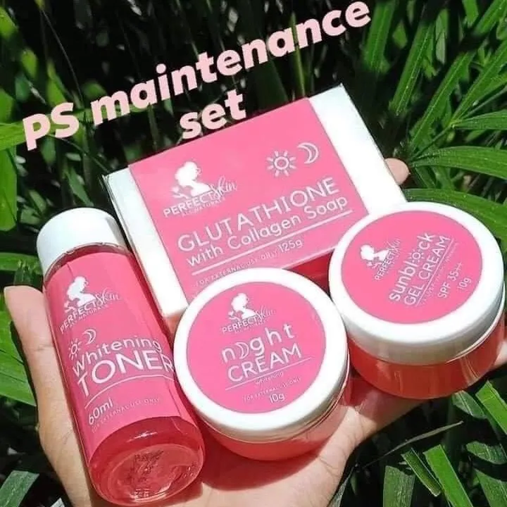 Perfect Skin Maintenance Set | Lazada PH