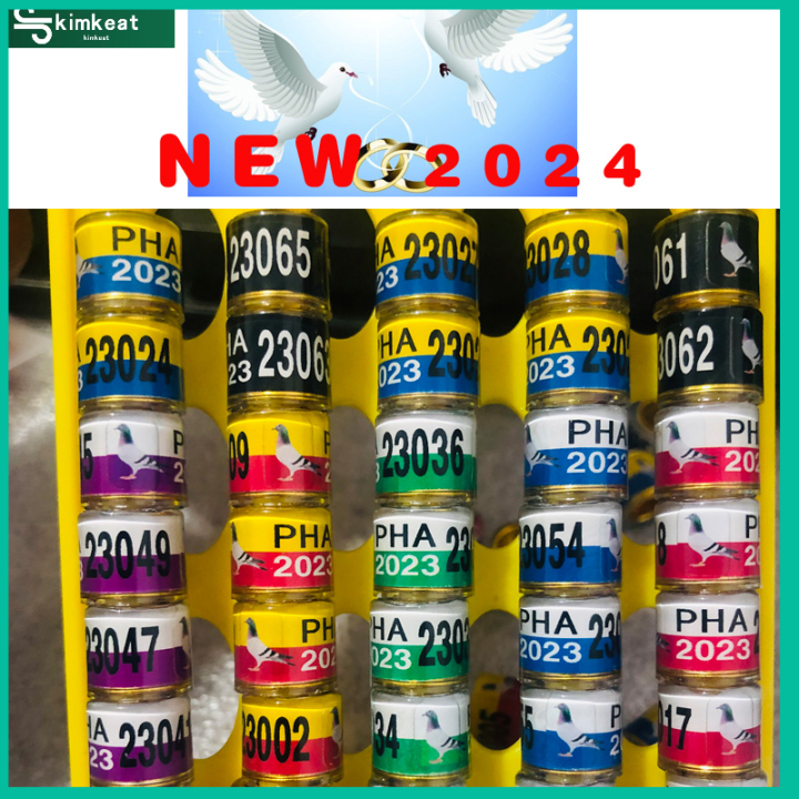 【2024 NEW!】10pcs 20pcs NEW ARRIVAL TWO COLOR DESIGN PHA 2024 2023 ...