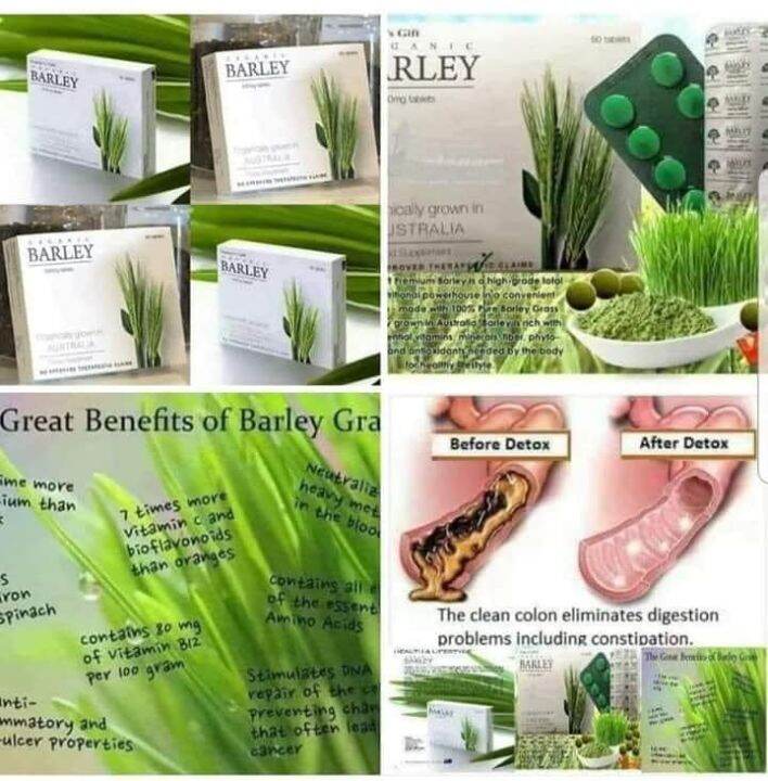 PURE ORGANIC BARLEY 500MG/TABLET FOOD SUPPLEMENT | Lazada PH