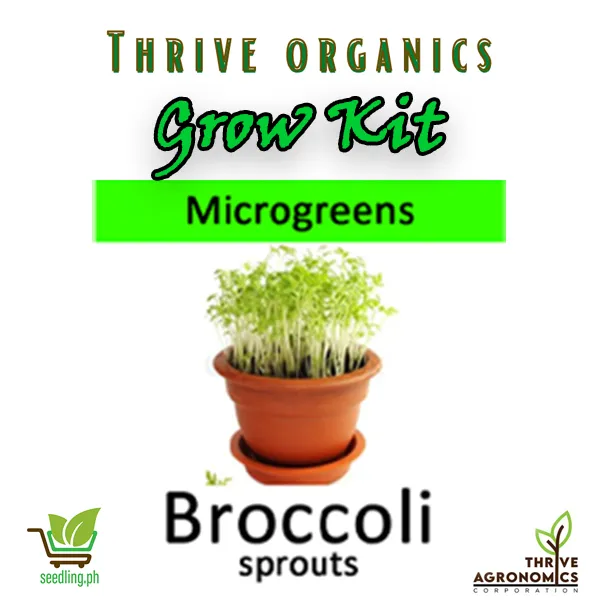 Organic Broccoli Sprout Microgreens Grow Kit Seedling Kit Starter Kit ...