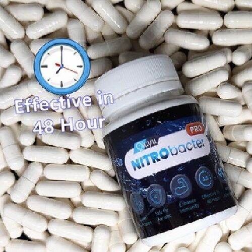 Qiuyu Nitrobacter Pro+ Concentrated Nitrobacteria nitrifying EM ...