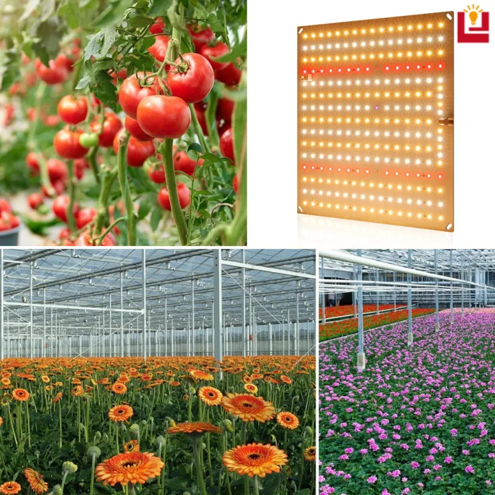 YONUO🌈LED เติบโตแสง การเจริญเติบโตของ พืชเติมแสง เรือนกระจกต้นกล้าแสง พืชเติบโตแสง ติดตั้งง่าย ...