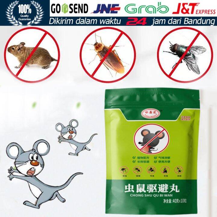 20PCS/Set Kamper Pengusir Tikus Kamper Pengusir Kecoa Kamper Pembasmi ...