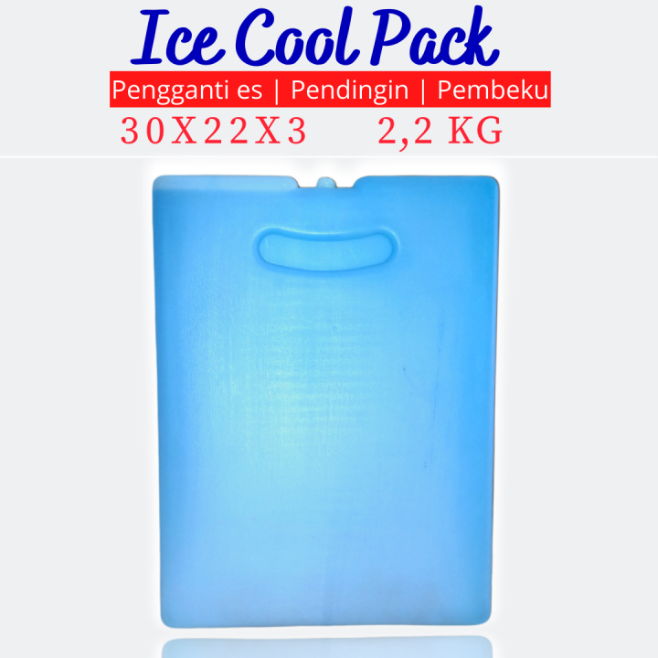 ICE PACK BLUE GEL - ICE PACK UNTUK ES KRIM - ICE PACK UNTUK SIMPAN SUSU ...