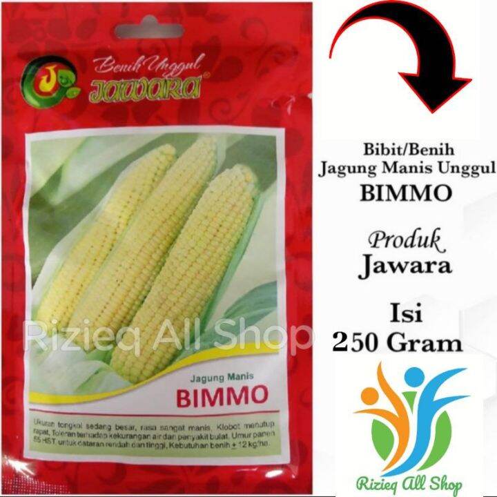 Benih Jagung Manis BIMMO 250 gram Bibit Jagung Manis Unggulan JAWARA SEED | Lazada Indonesia