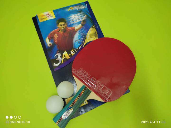 Double Fish Tennis Bat + 2 Pingpong Ball | Lazada