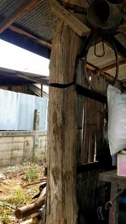 แว่นกันแดด Made in TAIWAN G-Forze : JAVA 💥 | Lazada.co.th