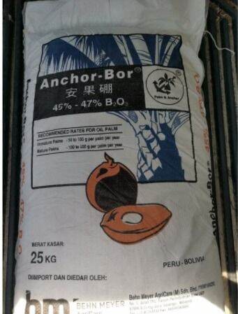 【GW】25KG Fertibor USA Sodium Borate 15.0% Disodium Tetraborate ...