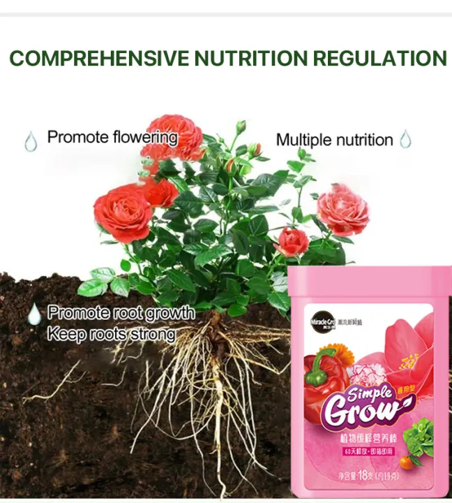 Gorich 【Plant Savior】Plant Fertilizer Nutrition Bars | Lazada PH