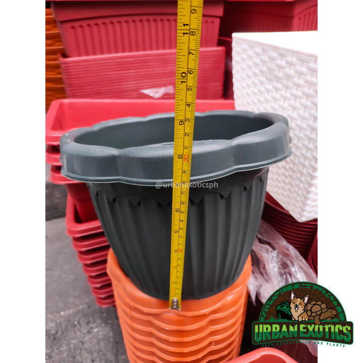 Regular Plastic Round Pot - medium for Plants Gardening | Lazada PH