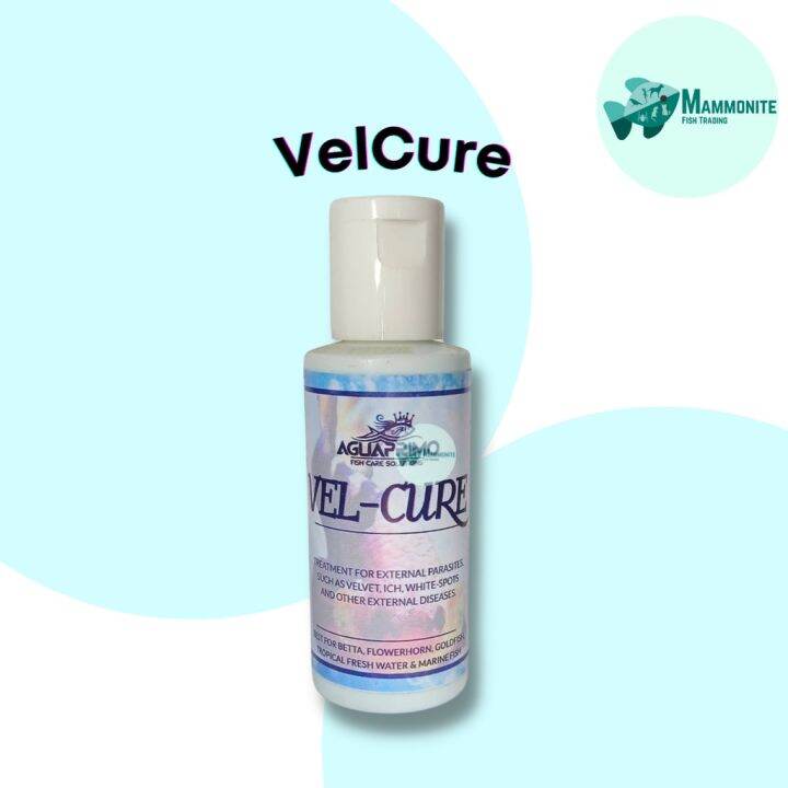 Velcure 60mL Vel-Cure For Betta Flowerhorn Goldfish Medicine: Clamped ...