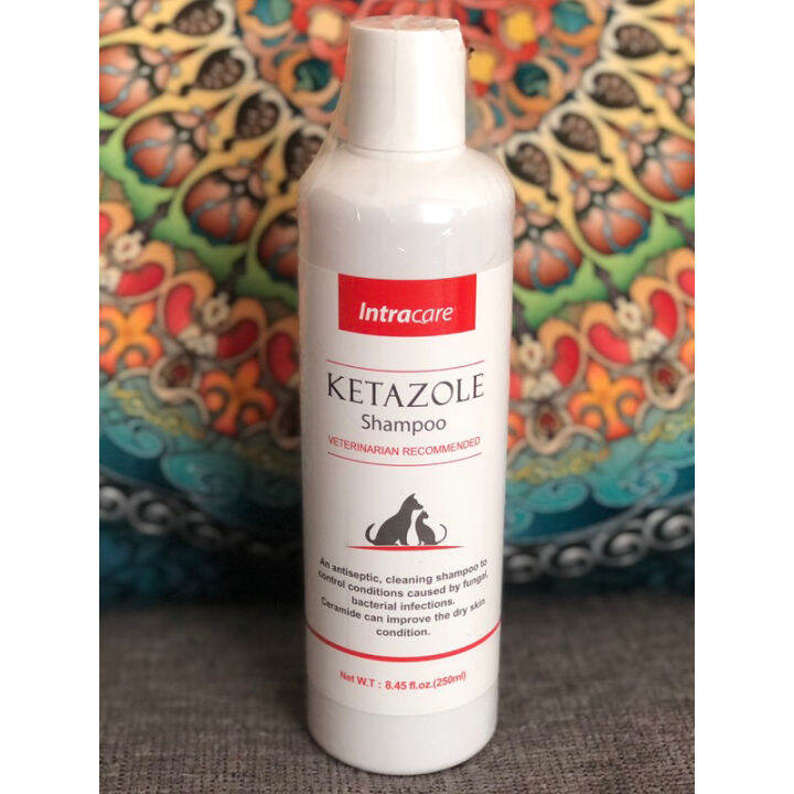 Ketazole Shampoo Medicated (NEW PACKAGING) for Dogs and Cats | Lazada PH
