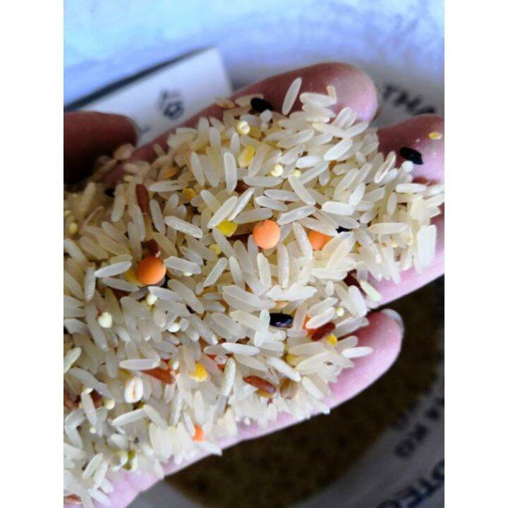 Premium Ten Grains Rice 精选 十谷米 900 Grams | Lazada
