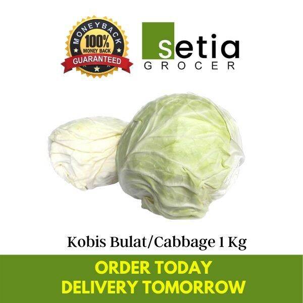 Kobis Bulat/Cabbage 1kg | Lazada