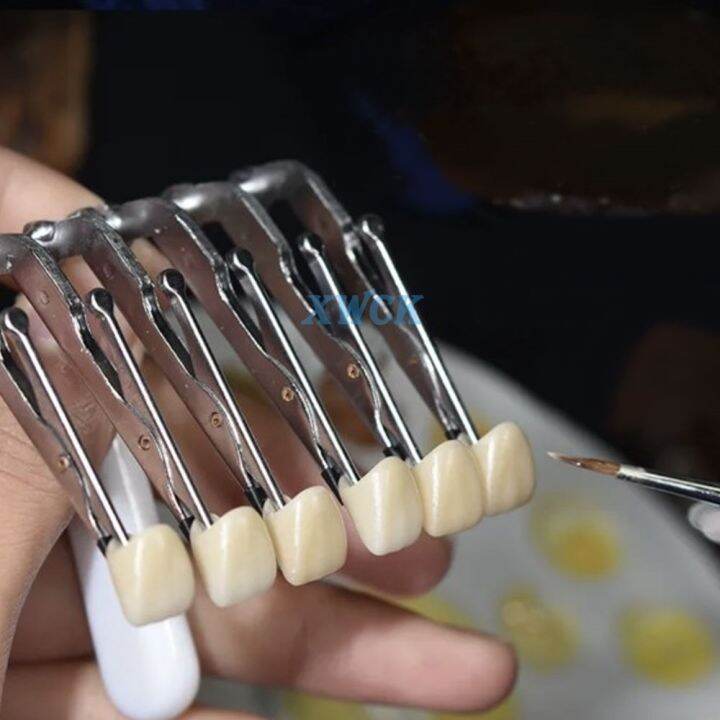 Dental Veneer False Teeth Clip Porcelain Brush Glazing Handle Temporary ...