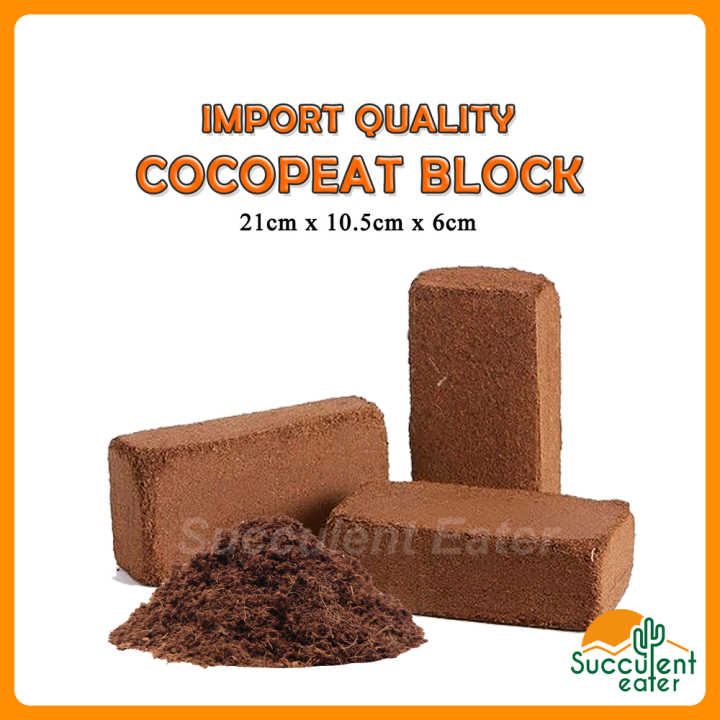 CocoBlock Cocopeat Block Brick Compressed Form Coconut Gardening 椰糠椰砖 ...