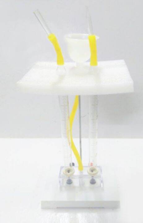 Electrolysis Apparatus for Laboratory Experiment | Lazada PH