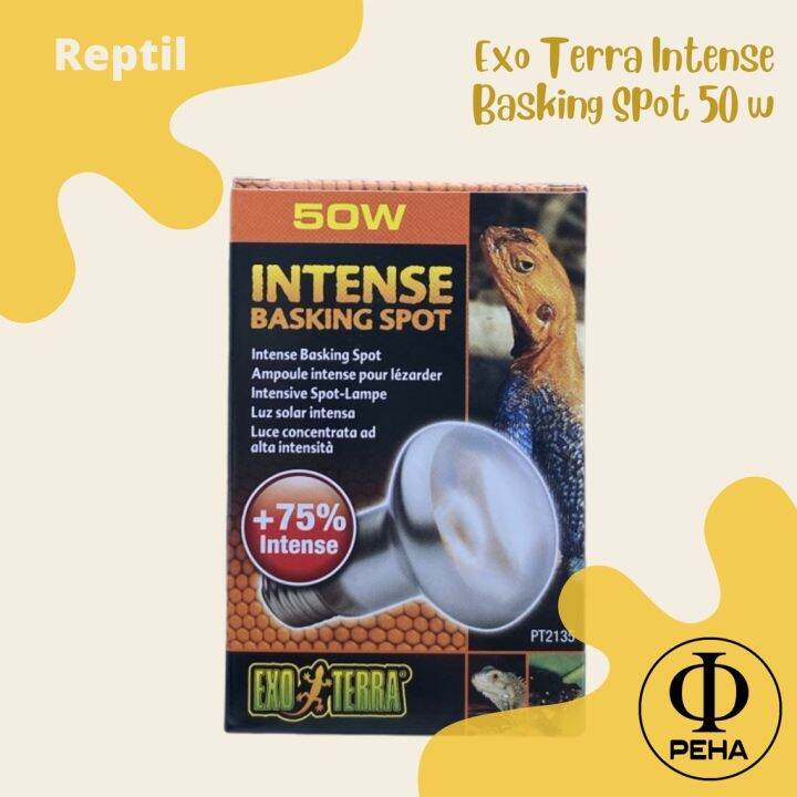 Exo Terra Intense Basking Spot 50 watt - UVA Exoterra - Torto Reptil ...