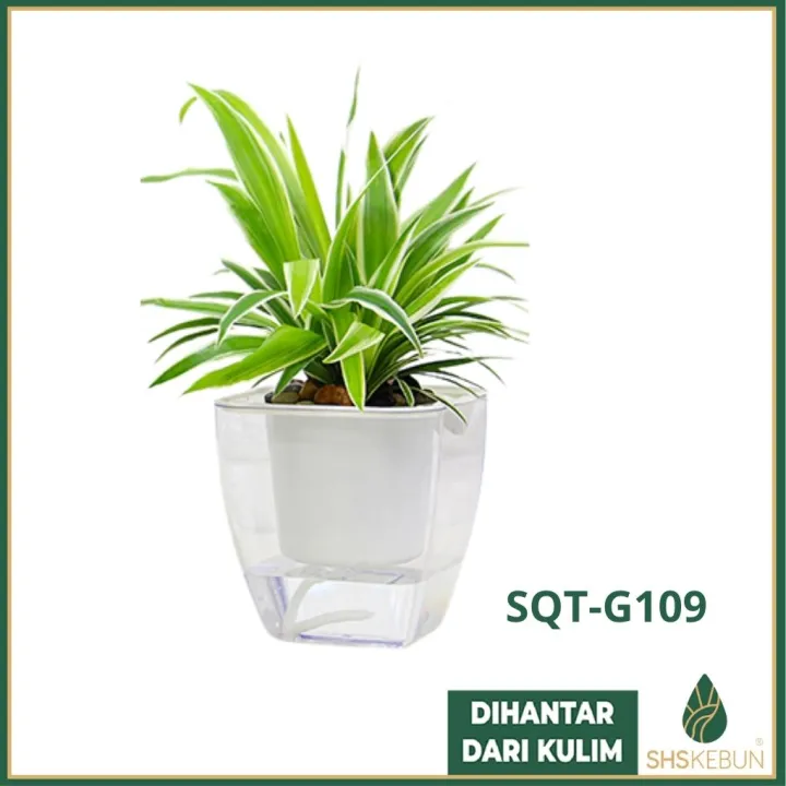 Pasu Bunga Bersumbu Pasu Bunga Sederhana Medium Self-watering Pot G109 ...