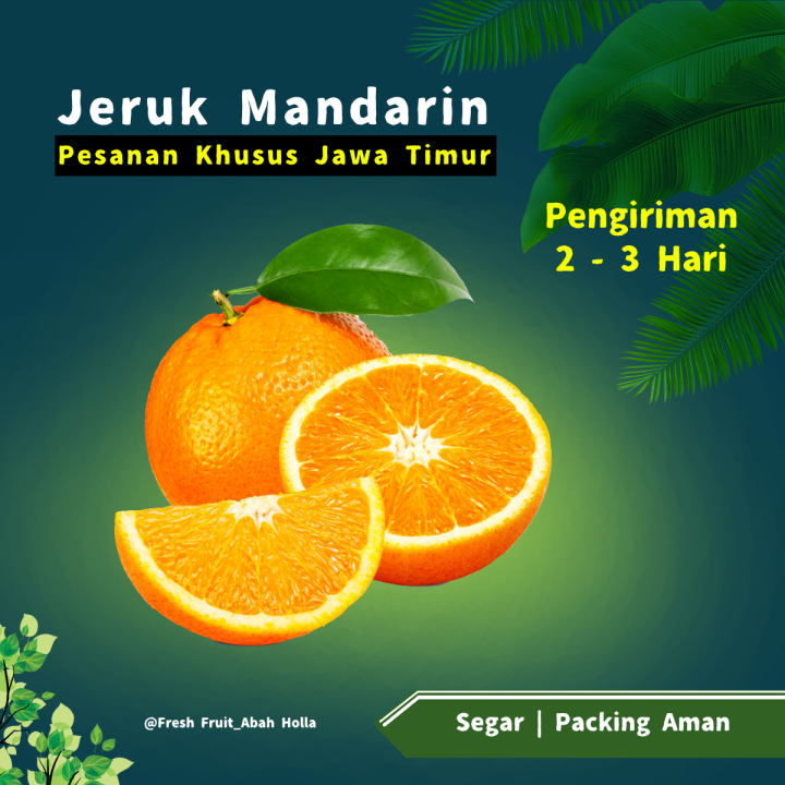JERUK MANDARIN | JERUK MANIS | JERUK CINA | SATUAN | 1/2 Kg - 1 Kg ...