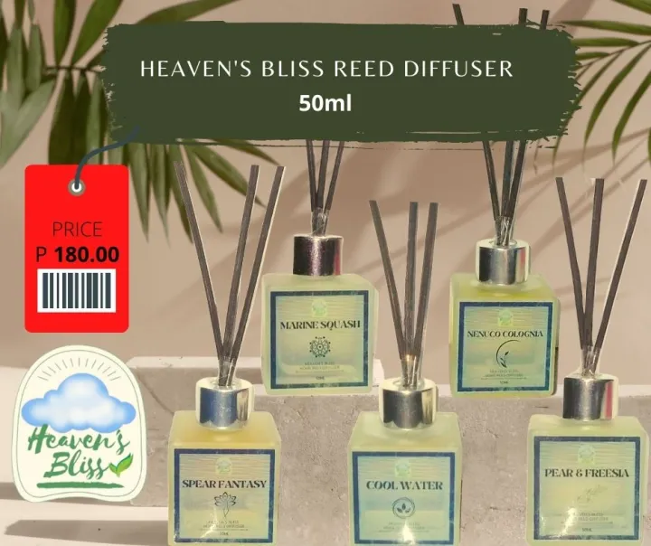 REED DIFFUSER | Lazada PH
