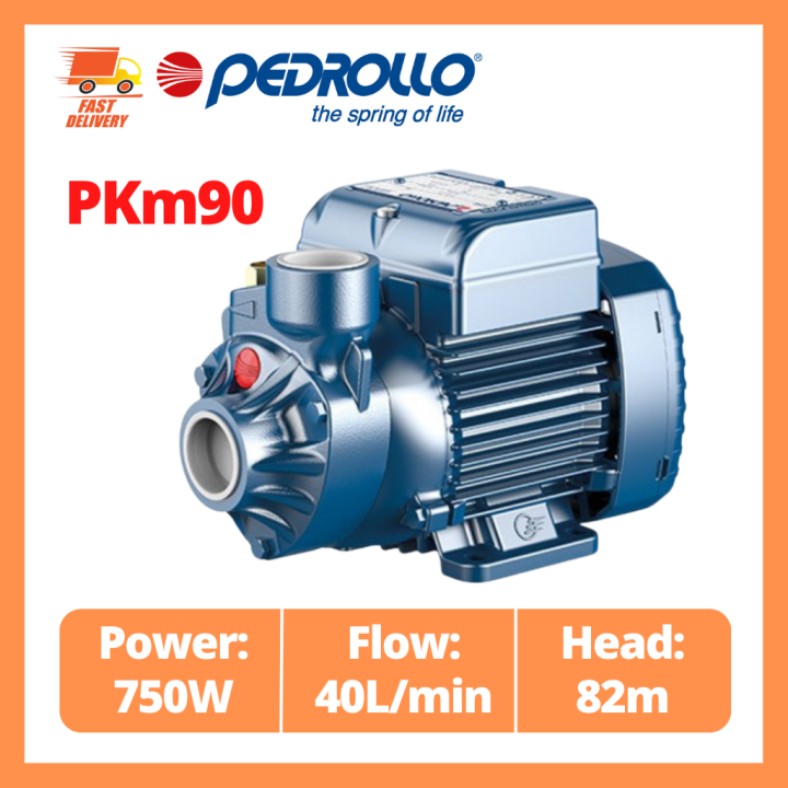 Pedrollo PKm90 3/4″ x 3/4″ Single-phase 750W 240V Pump with Peripheral ...