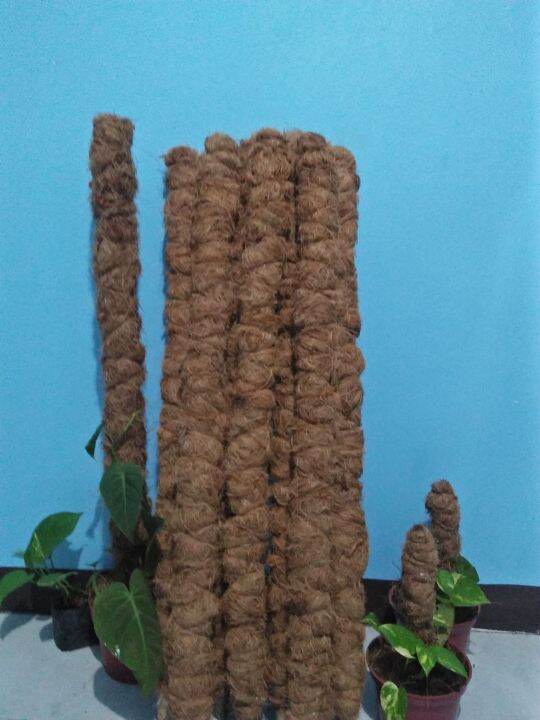 coco pole (3ft) | Lazada PH