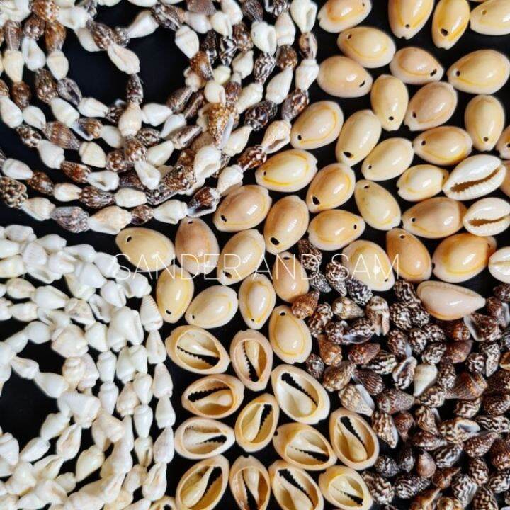 Cowrie Sigay Nasa Dove Shell Natural Beads Holed Pack | Lazada PH