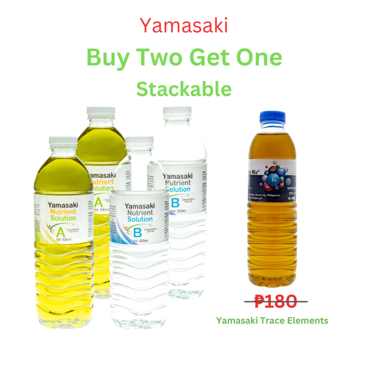 Yamasaki hydroponic solution 500mL A&B set | nutrient solution hydroponics snap solution ...