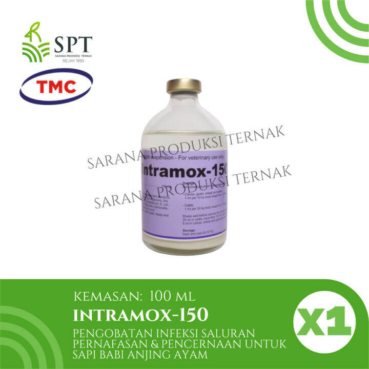 INTRAMOX-150 100ml PENGOBATAN SALURAN INFEKSI PENCERNAAN SAPI BABI ...