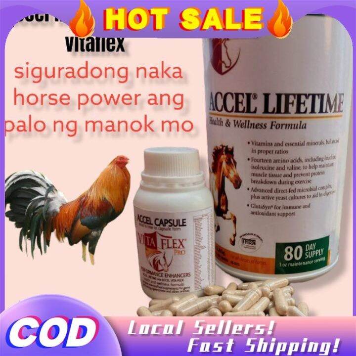 【COD/READY】 Accel lifetime capsule/vitaflex pro for gamefowl/pigeons ...