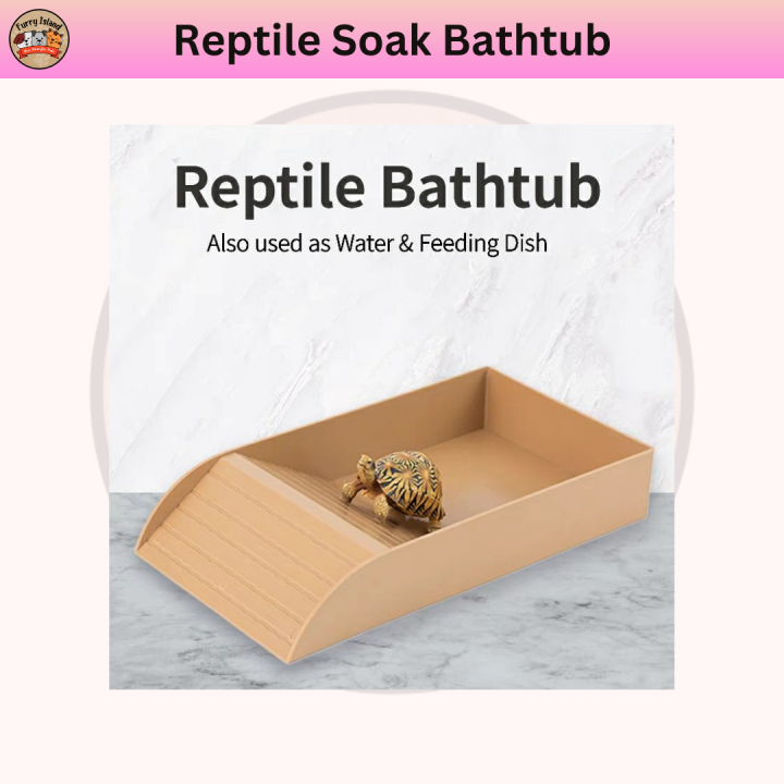 Reptile Soak Bathtub Tortoise Large Water dish Feeding Dish with Ramp ...