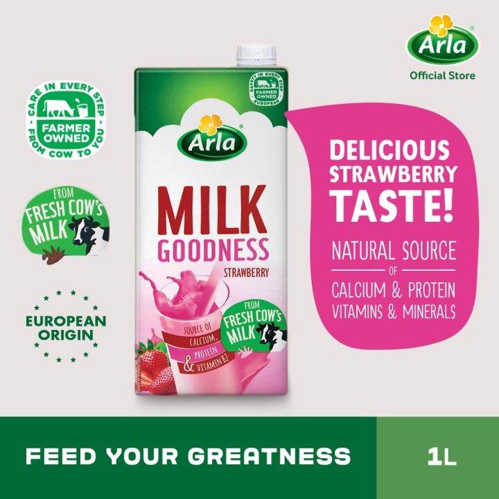 Arla Strawberry Milk 1L | Lazada PH