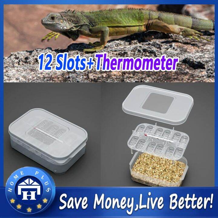 【Local delivery】 Pet Hatching Box 12 Holes Breeding Box Reptile Eggs ...