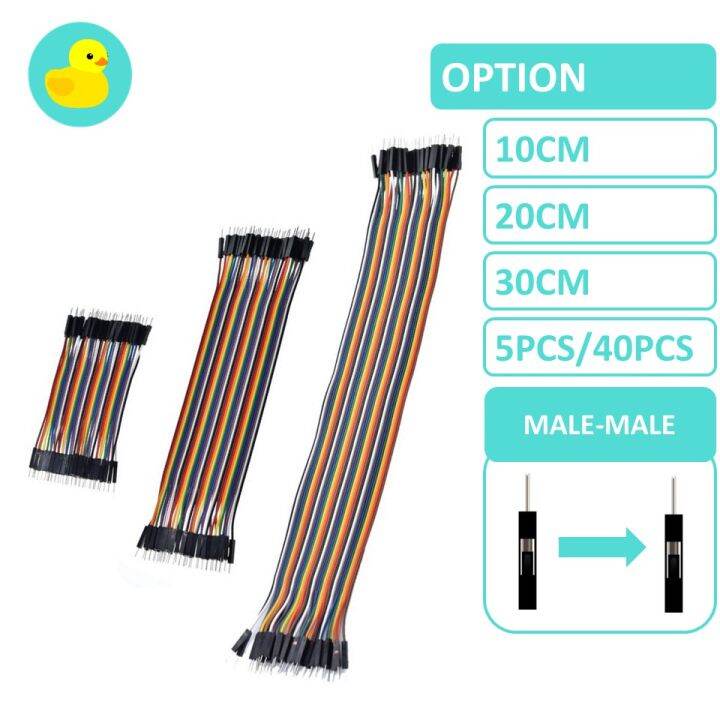 Male to Male Dupont / Jumper Wires 10cm / 20cm / 30cm | Lazada