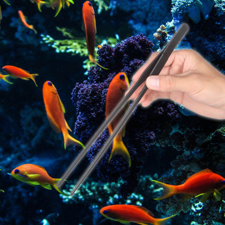 COLLOCATE DIAGONAL76AL9 Aquatic Plant Reef Stainless Steel Straight and ...