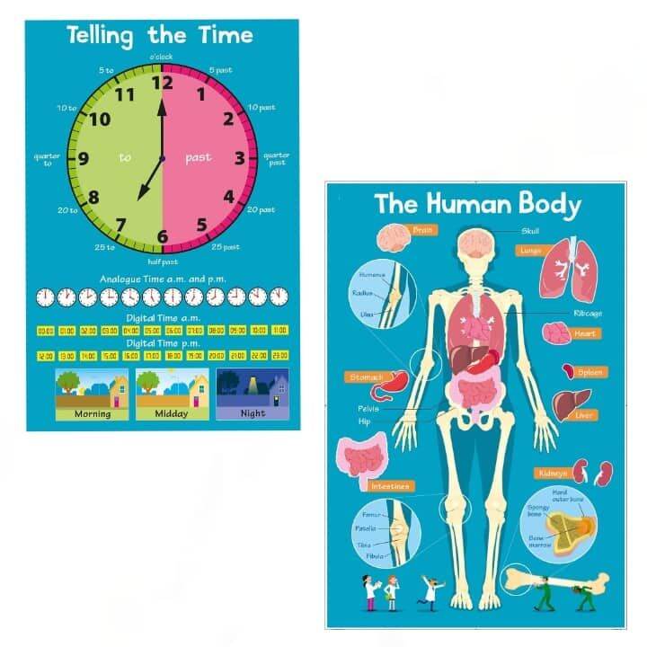 Laminated Telling Time, The Human Body, Times Tables, Phonics Charts ...