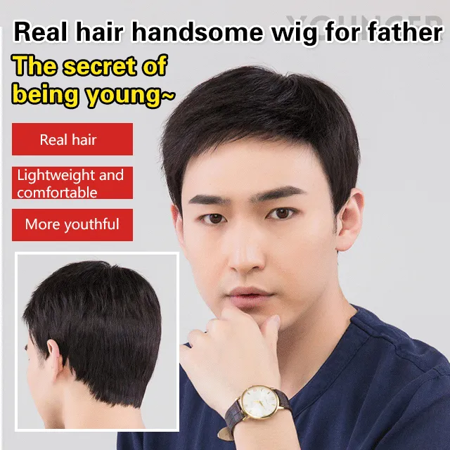 Real hair handsome wig for father | Lazada PH